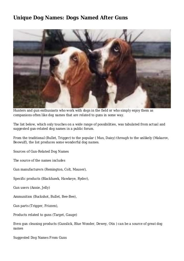 Unique Dog Names Dogs Named After Guns Unique Dog Names Dogs Named After Guns