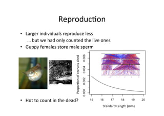 Beyond Lifetime Reproductive Success: The posthumous reproductive ...