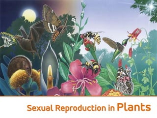 Natural Science. Sexual reproduction in plants - Presentation | PDF ...