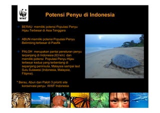 140304 presentasi penyu | PDF
