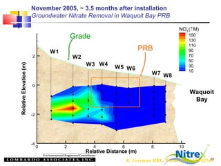 Nitrex(TM) Passive Nitrogen Removal Systems | PPT