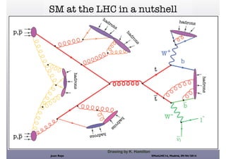 Parton Distributions and Standard Model Physics at the LHC | PDF