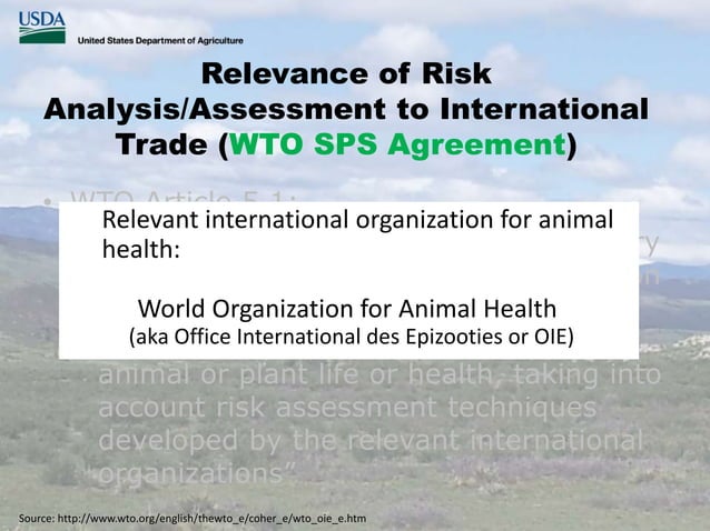 Dr. Thomas Kasari - Relevance of Risk Analysis/Assessment to ...