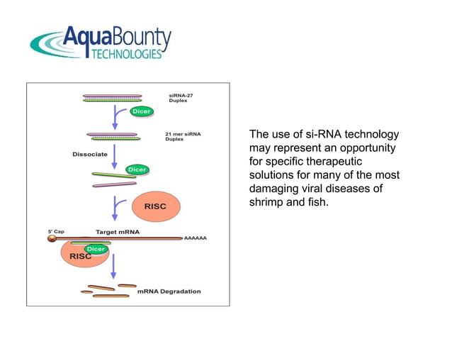 Dr. Ronald L. Stotish - Aquaculture: Unfilled Needs and Opportunities | PPT