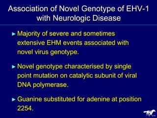 Dr. Peter Timoney - Re-emergent Threat of Equine Herpesvirus-1 ...