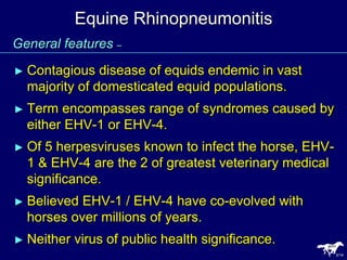 Dr. Peter Timoney - Re-emergent Threat of Equine Herpesvirus-1 ...