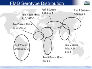 Dr. Beth Lautner - VS FMD Strategy | PPTX