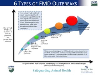 Dr. Beth Lautner - VS FMD Strategy | PPTX
