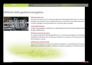 SYNECO Prestazioni Energia | PPT