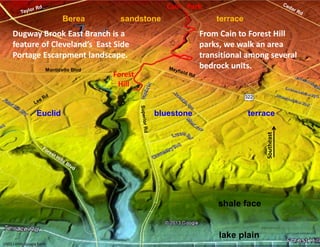 Dugway Brook East Br walking tour | PPTX