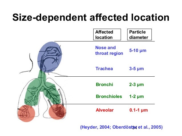Deposition Modeling of Respiratory Airborne Particles