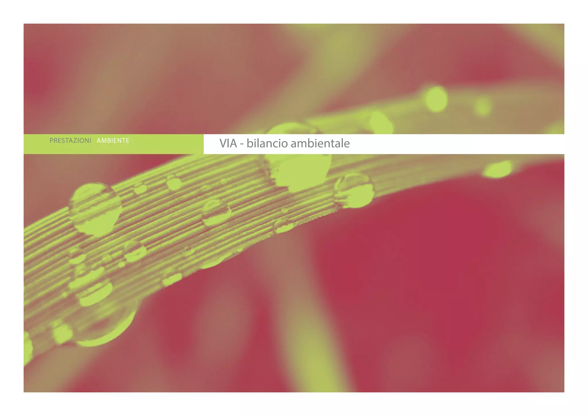 SYNECO Prestazioni Ambiente | PPT