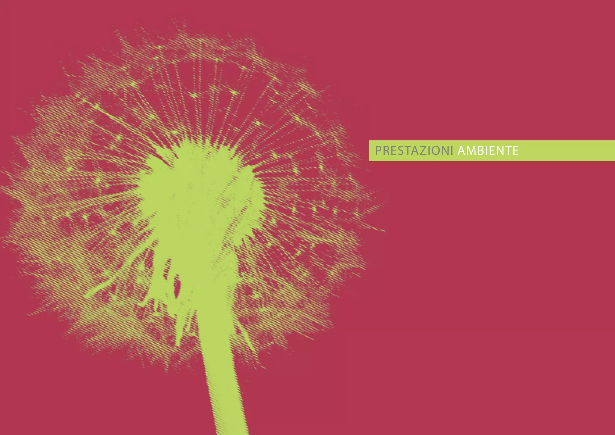 SYNECO Prestazioni Ambiente | PPT