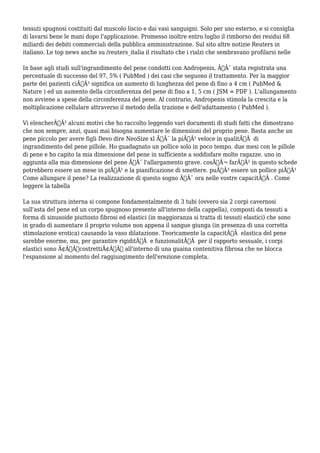 Pene, L'app Ci Vede Lungo | PDF