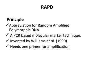 Concept on PCR,RAPD,AFLP | PPT