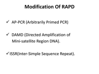 Concept on PCR,RAPD,AFLP | PPT