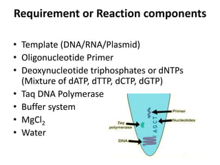 Concept on PCR,RAPD,AFLP | PPT