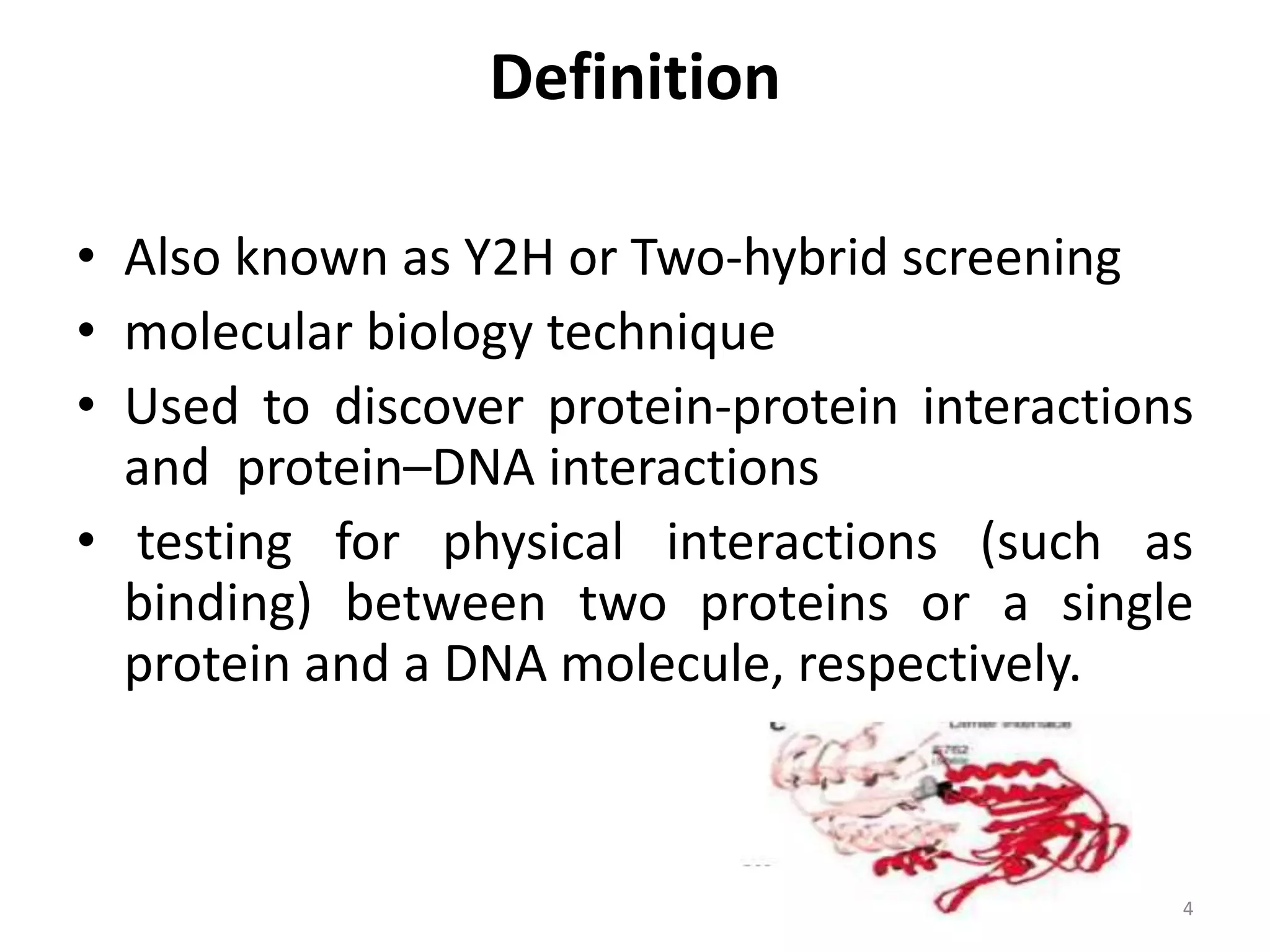 YEAST TWO HYBRID SYSTEM | PPTX