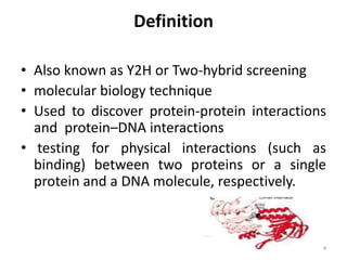 YEAST TWO HYBRID SYSTEM | PPTX