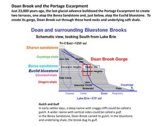 Doan Brook Gorge walking tour | PPTX