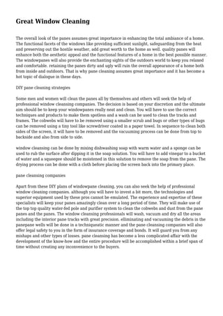 Great Window Cleaning | PDF | Bath and Shower | Personal Care