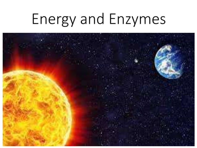 1306 energy and enzymes | PPTX | Chemistry | Science
