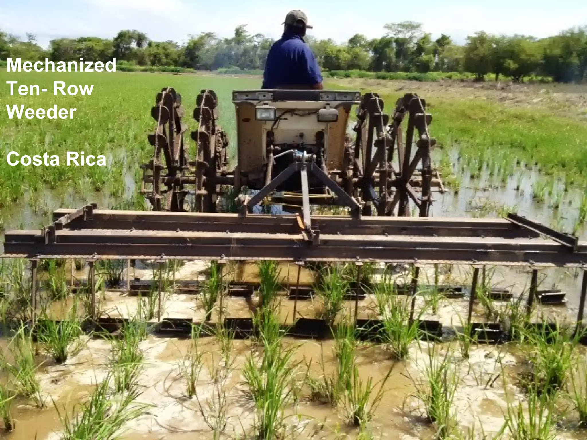 1406 - Overview of SRI Rice Production Equipment | PPT