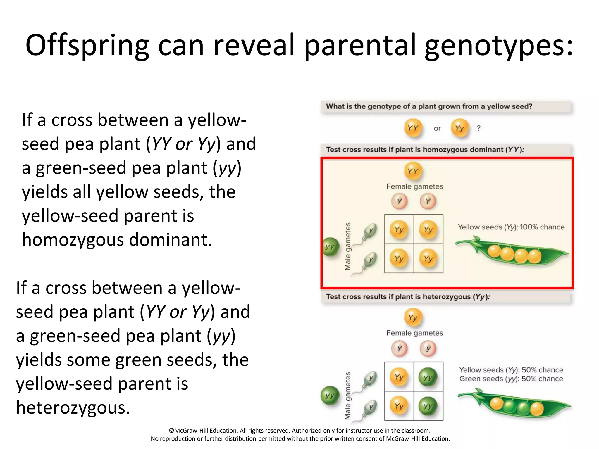 1406 patterns of inheritance 2019 | PPTX