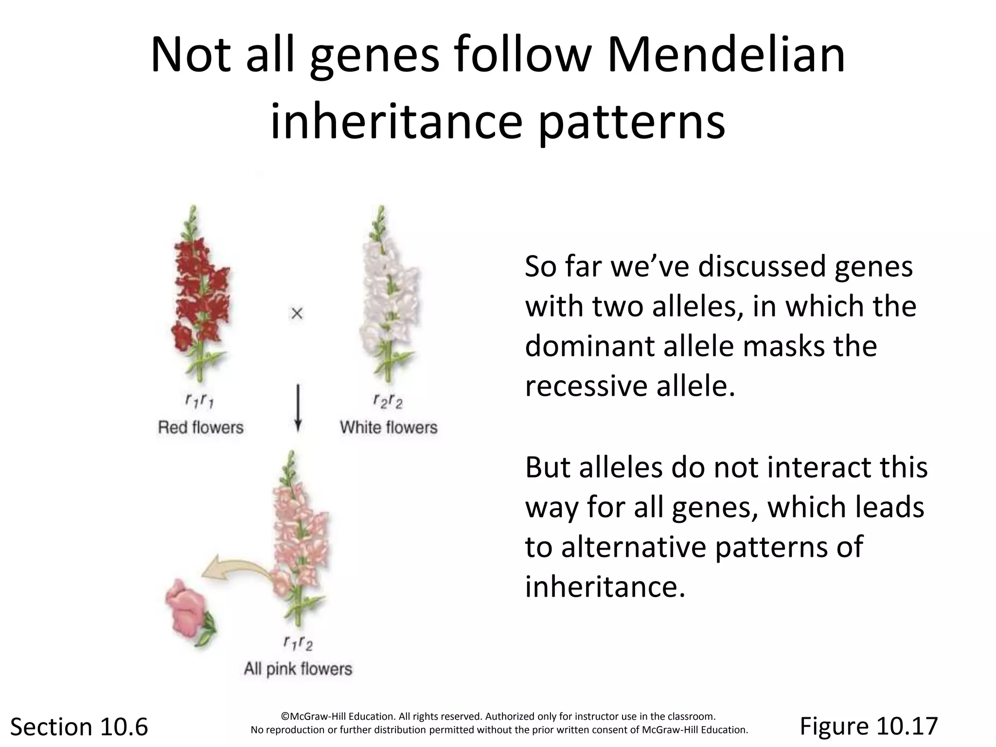 1406 patterns of inheritance 2019 | PPTX