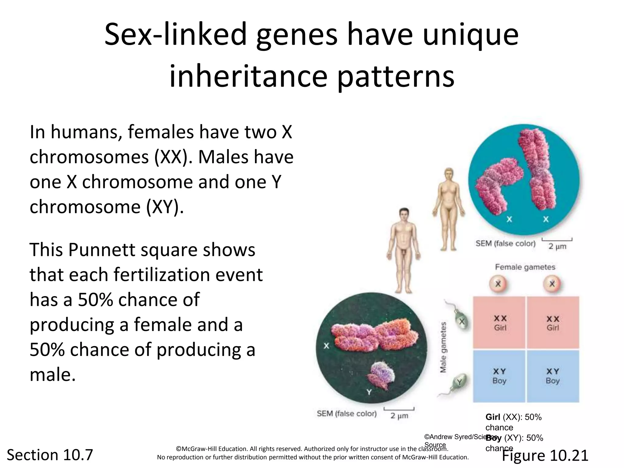 1406 patterns of inheritance 2019 | PPTX