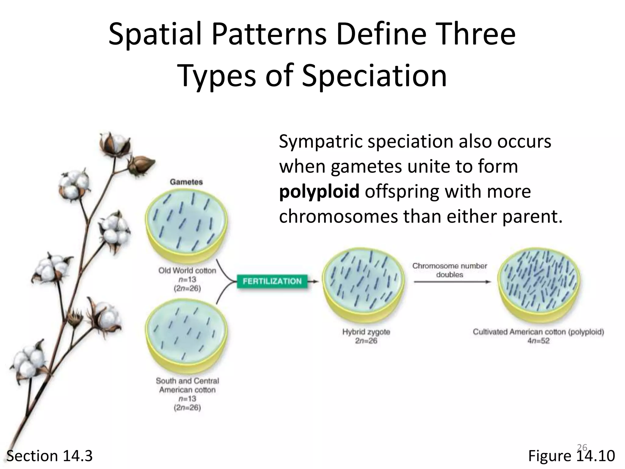 1407 speciation and classification | PPTX