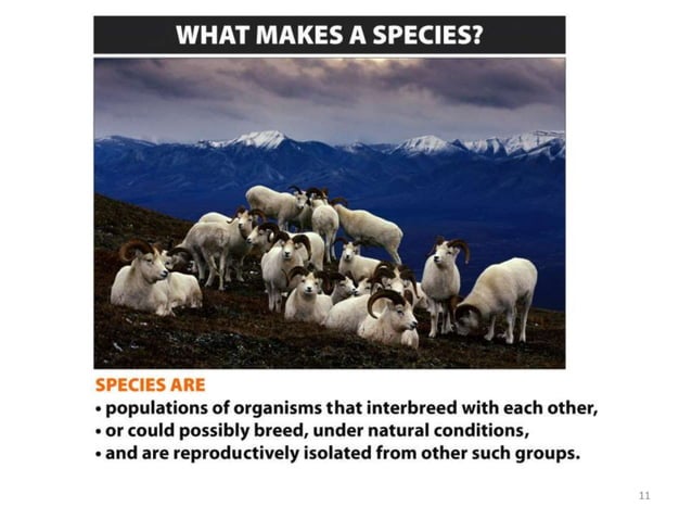 1407 speciation and classification | PPTX