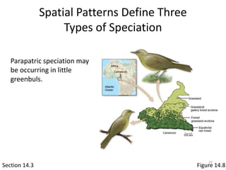 1407 speciation and classification | PPT
