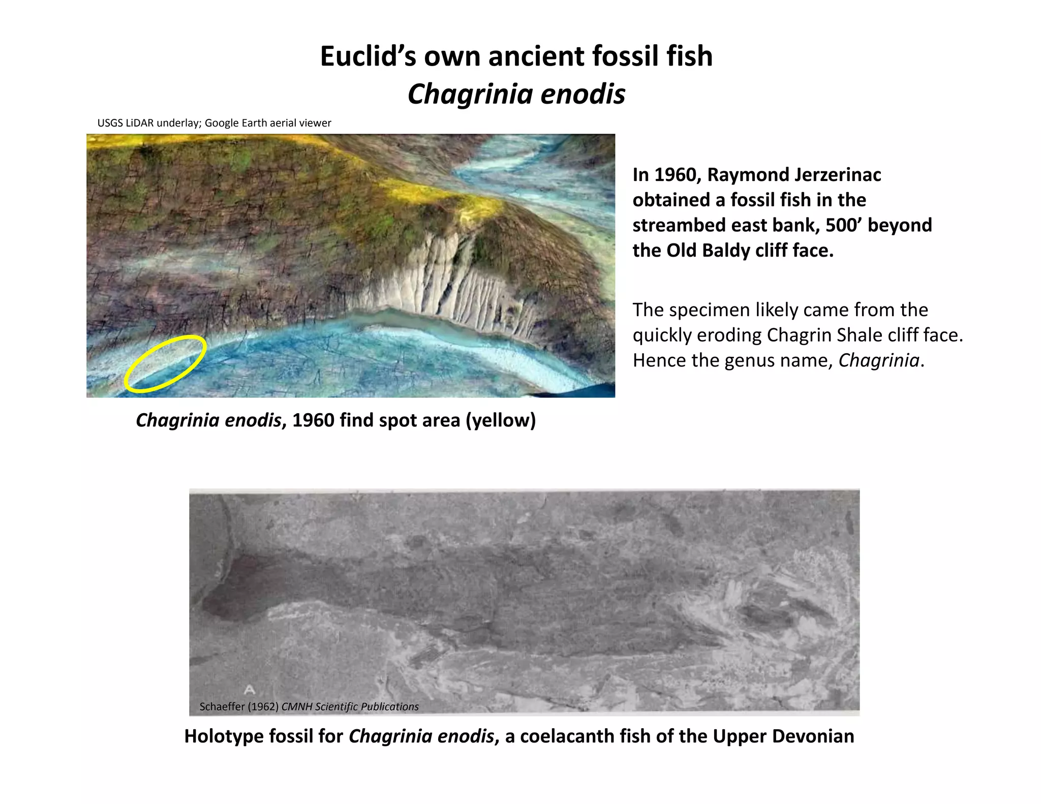 Explore Euclid's Mt. Baldy | PPTX