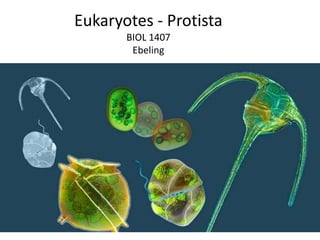 1407 protists presentation | PPT