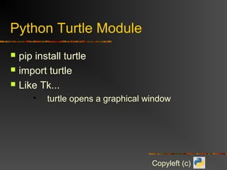 Meet Tina the Turtle | PPT