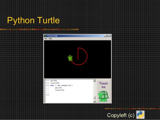 Meet Tina the Turtle