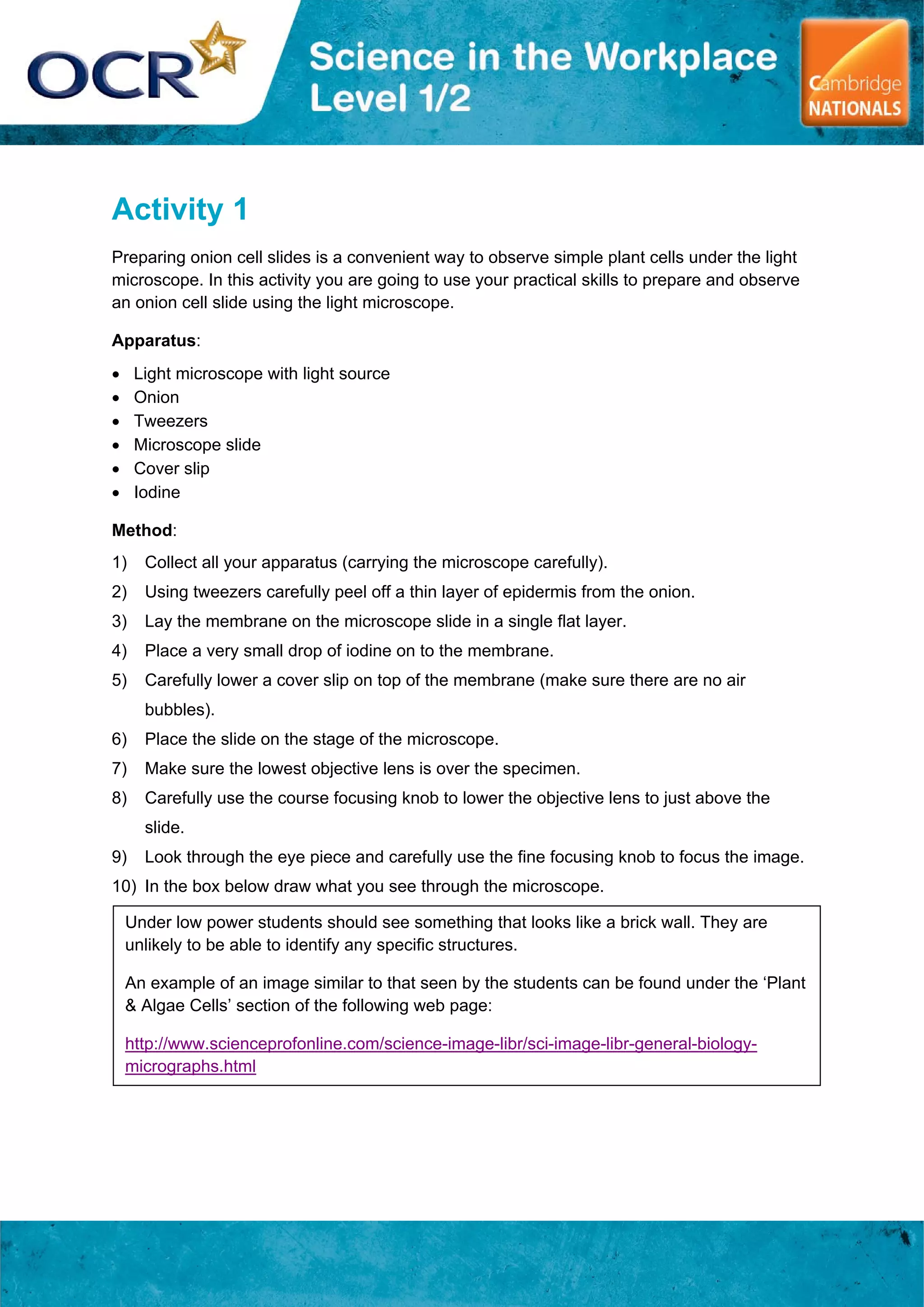 preparing-onion-cell-slides-lesson-element-teacher-instructions | PDF