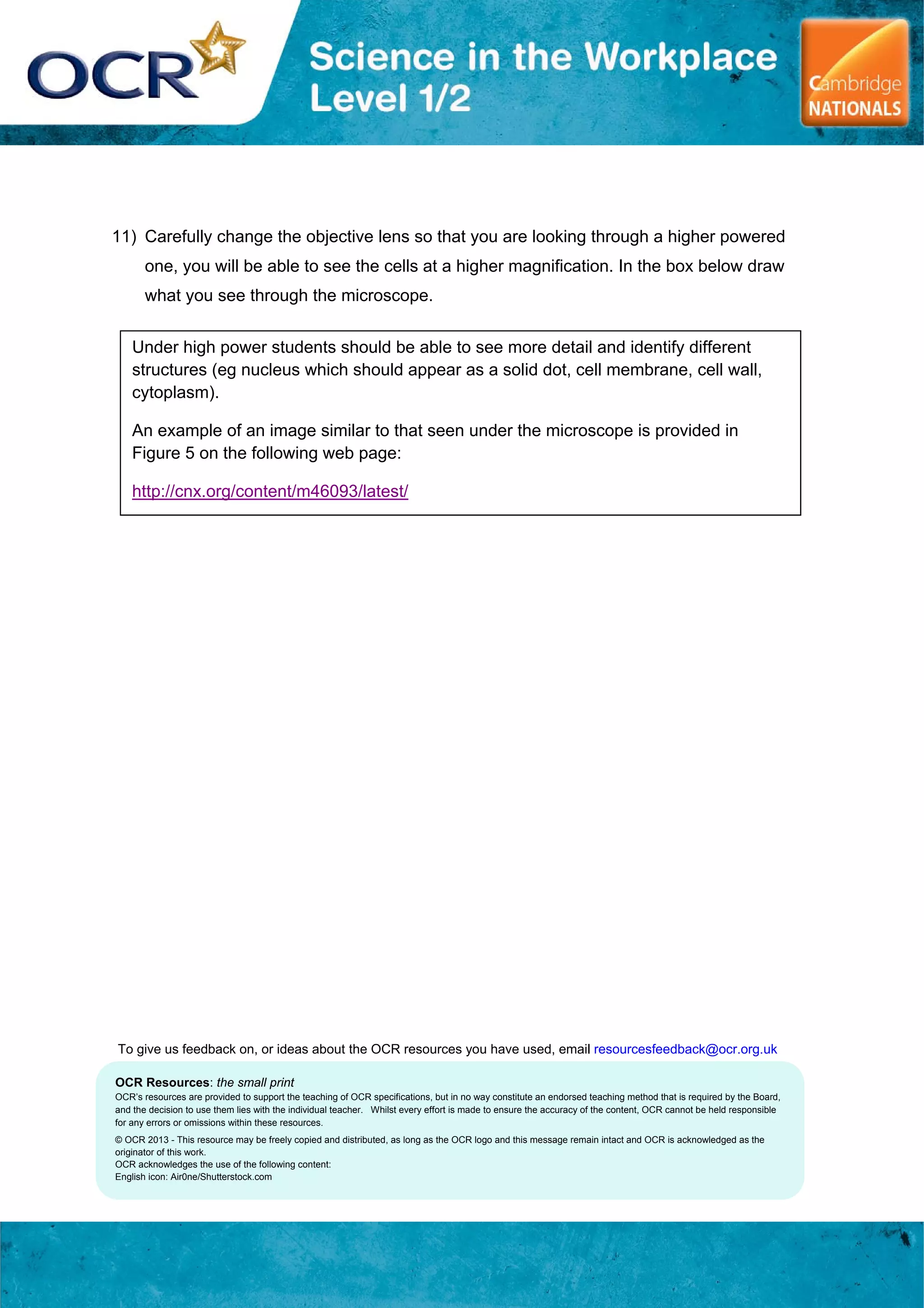 preparing-onion-cell-slides-lesson-element-teacher-instructions | PDF