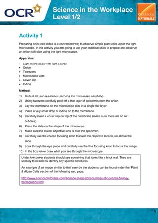 preparing-onion-cell-slides-lesson-element-teacher-instructions | PDF