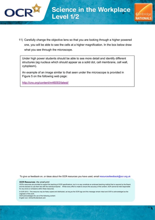 preparing-onion-cell-slides-lesson-element-teacher-instructions | PDF ...