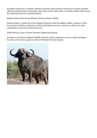 Latest Articles | PDF