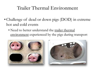 Dr. Angela Green - Pig Transport Environment During Extreme Outdoor ...