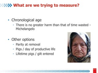 Dr. Matt Culbertson - Feeding Sows for Maximum Lifetime Production | PPTX
