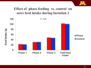 Devi Pangeni - Phase Feeding of Sows during Gestation and Lactation | PPTX