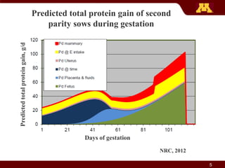 Devi Pangeni - Phase Feeding of Sows during Gestation and Lactation | PPTX