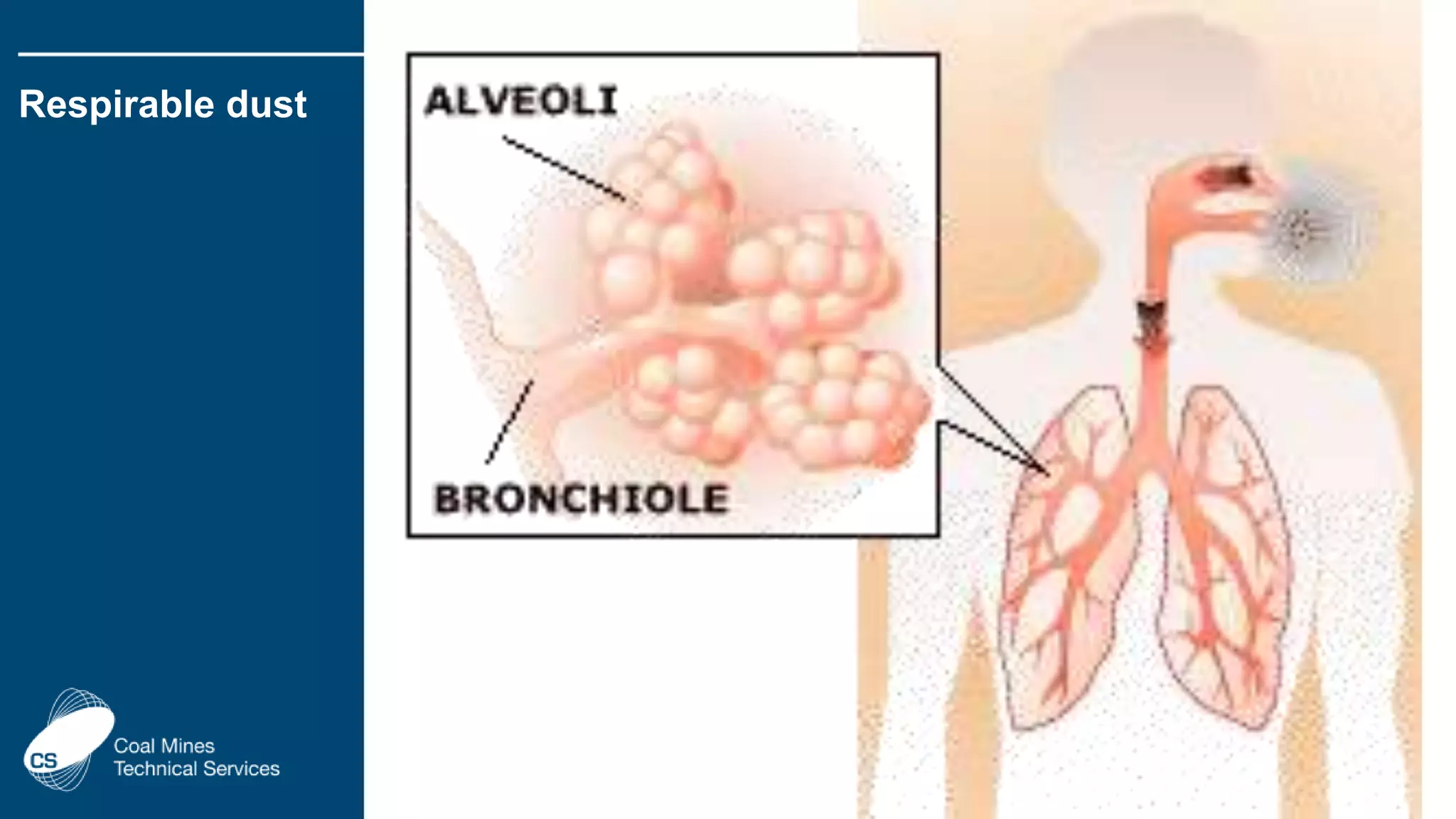 Airborne dust awareness, where do I stand? - Mark Shepherd | PPTX