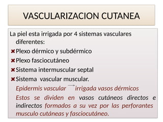 Generalidades de colgajos en cirugía plastica y reconstructiva | PPTX