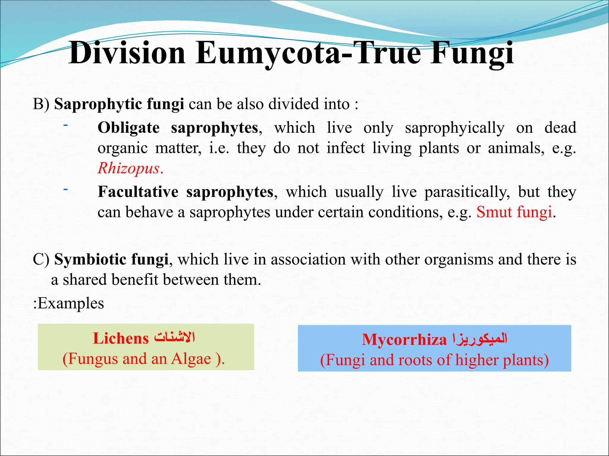 140 MIC-Lecture 8.pptx micro biology slides 8 | PPTX