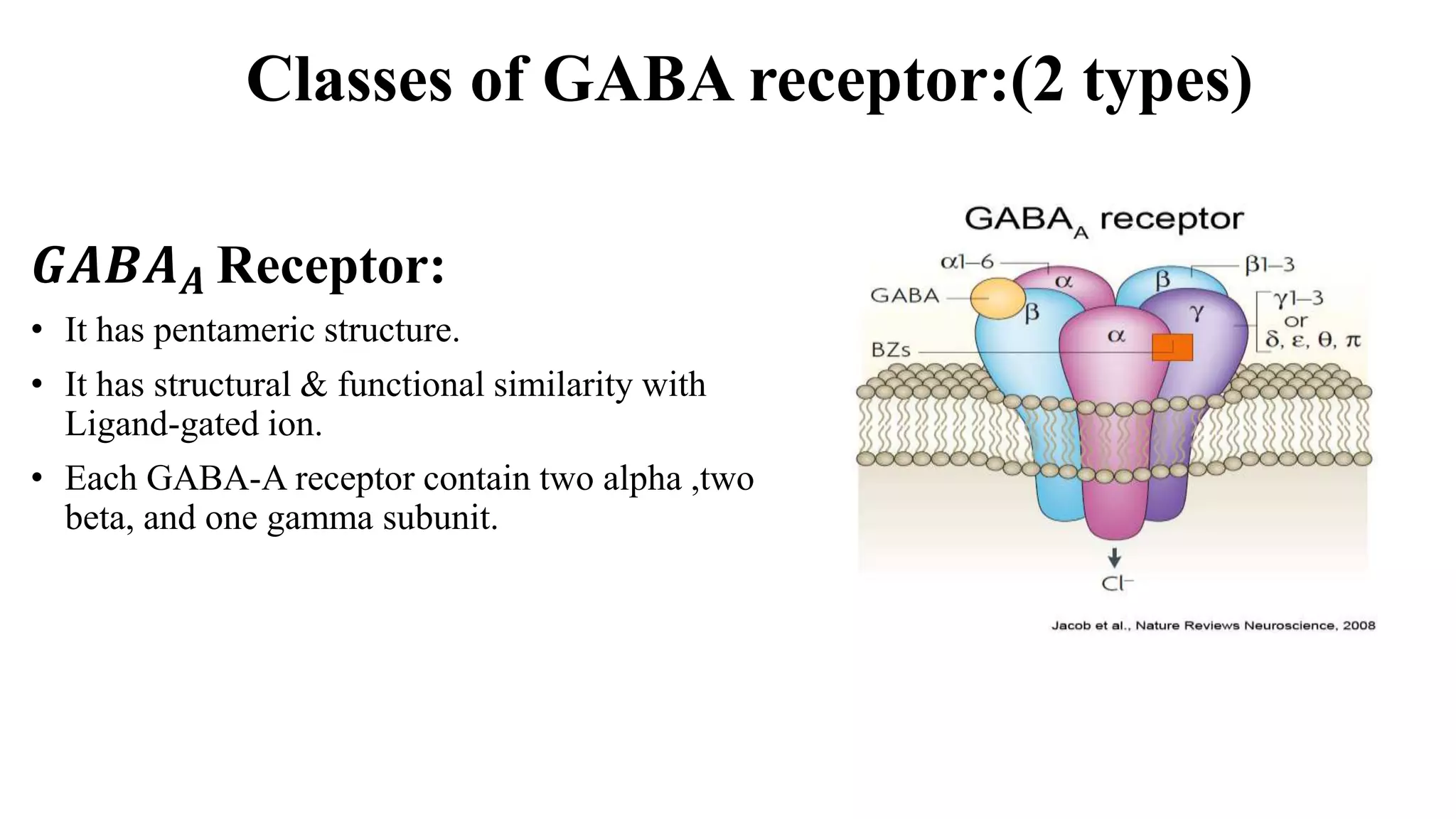 GABA | PPTX | Brain and Nervous System Disorders | Diseases and Conditions